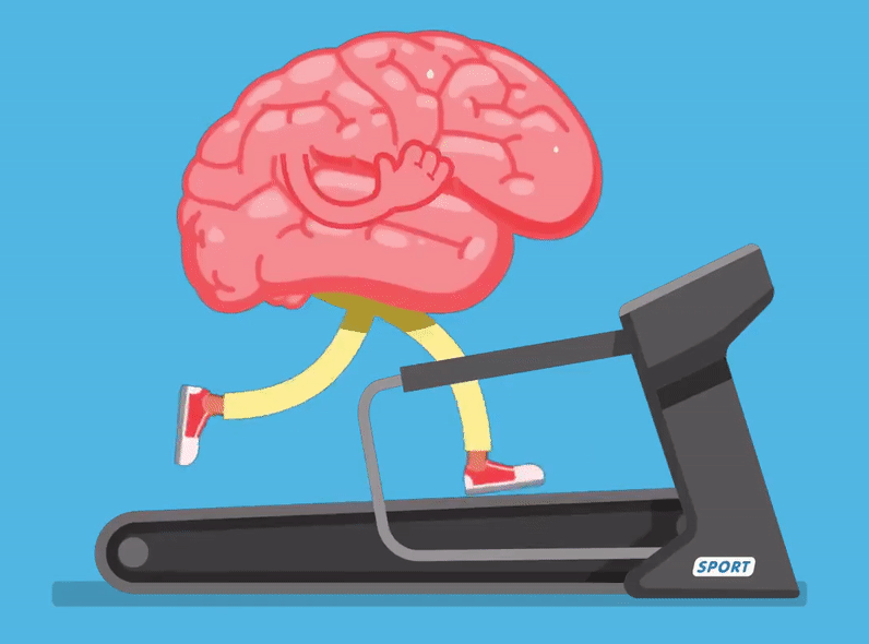 Boot Camp for the Brain - The Meadows Community Association of Sarasota ...